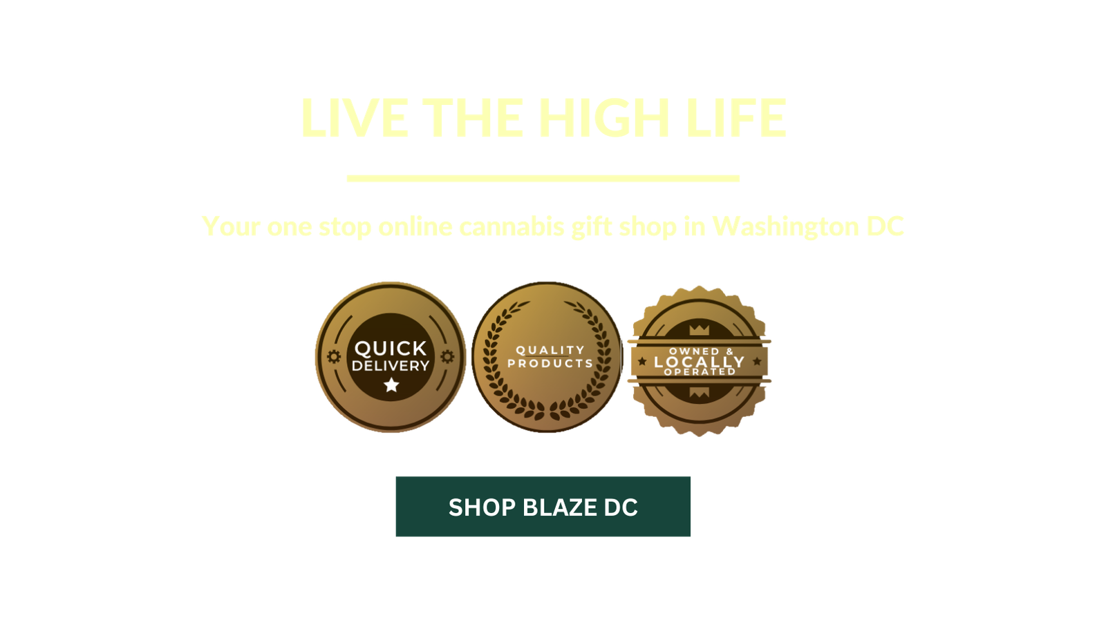 Welcome - Blaze DC