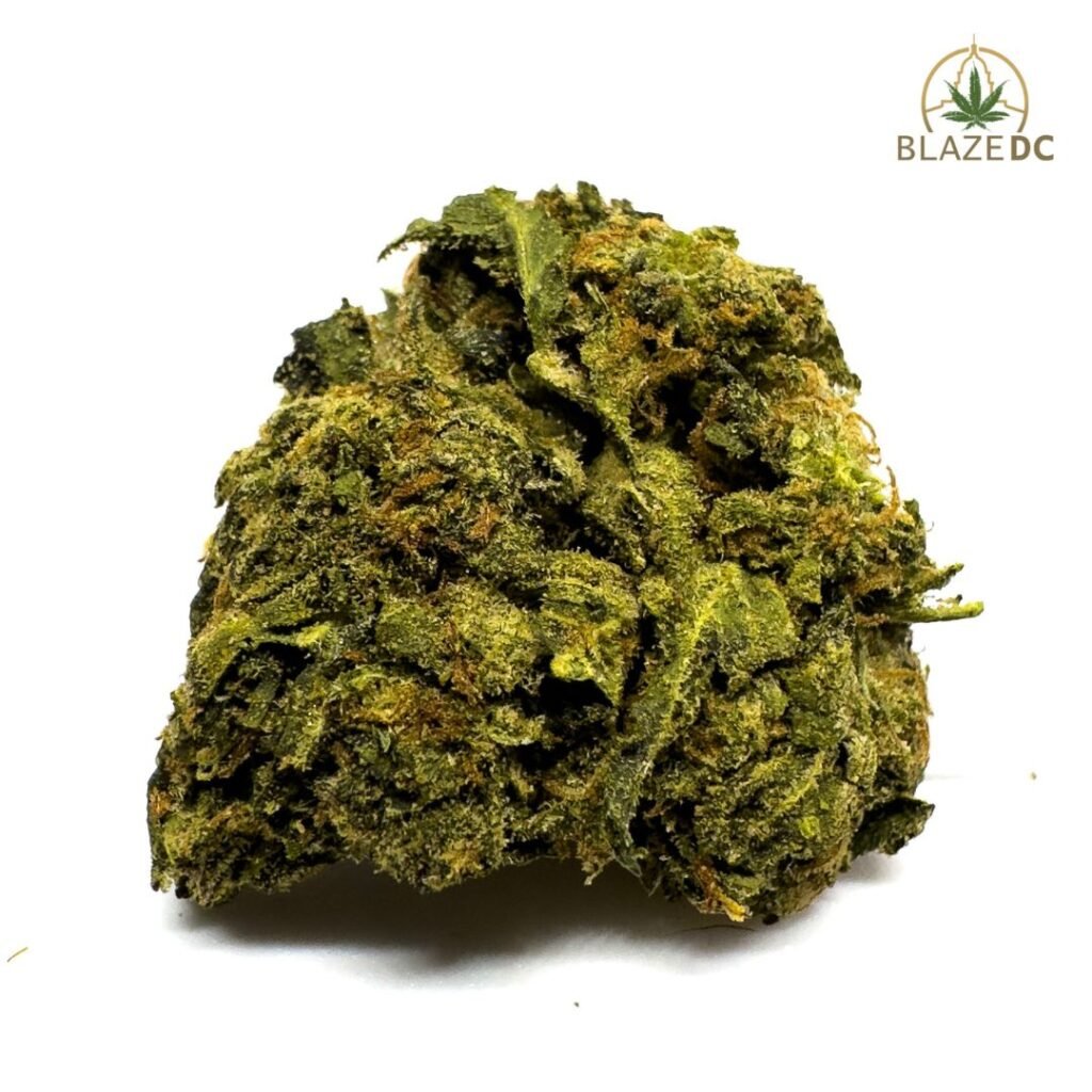 Best Hybrid Strains for Summer in DC - Blaze DC