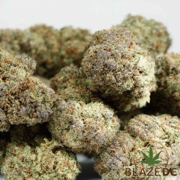 Gelato 41 | Hybrid Flower - Blaze DC